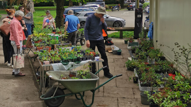 Friends Of Nuttall Park – Friends of Nuttall Park, Ramsbottom, Bury ...